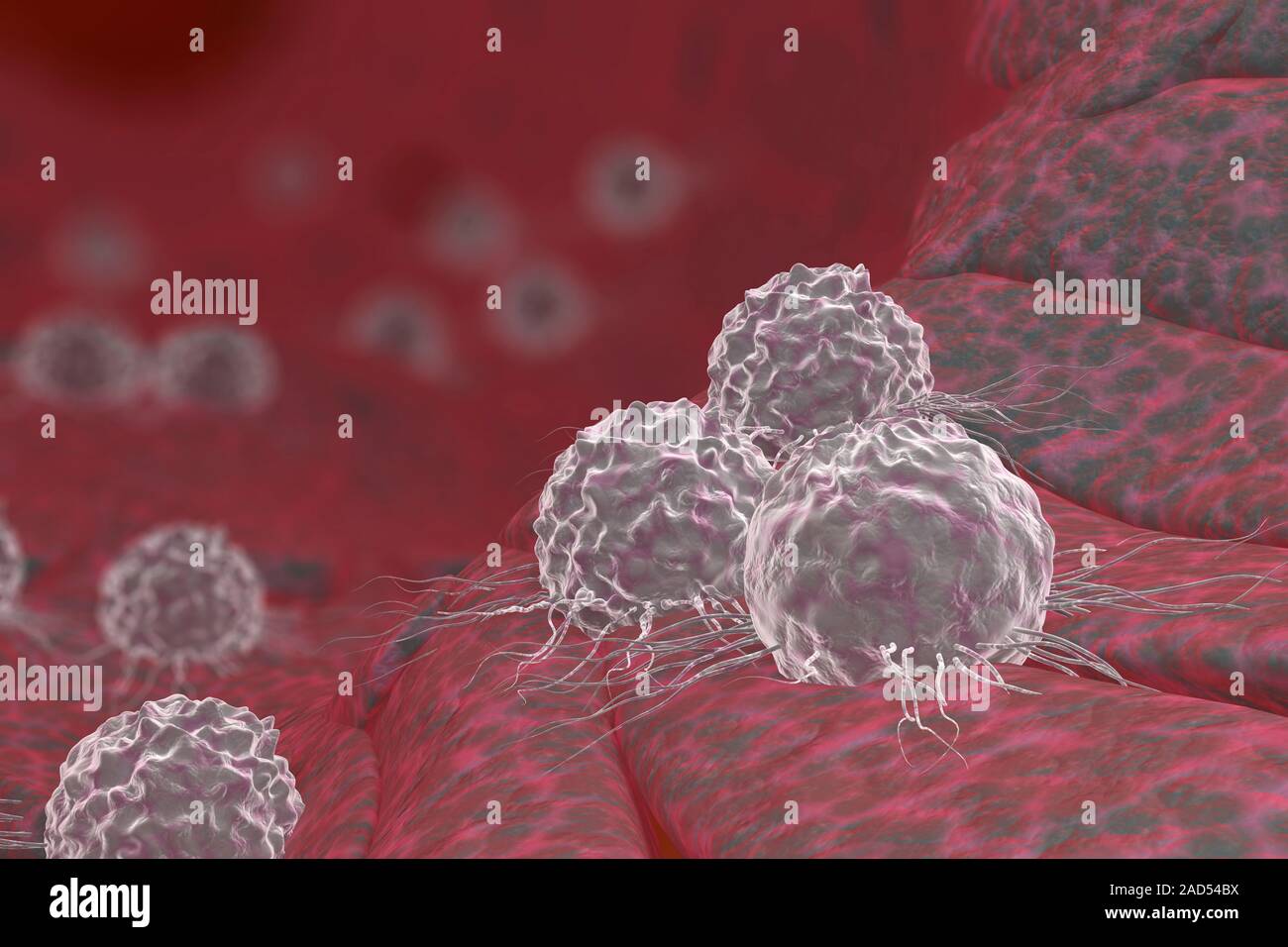 Les cellules de cancer, l'illustration de l'ordinateur. La surface ...