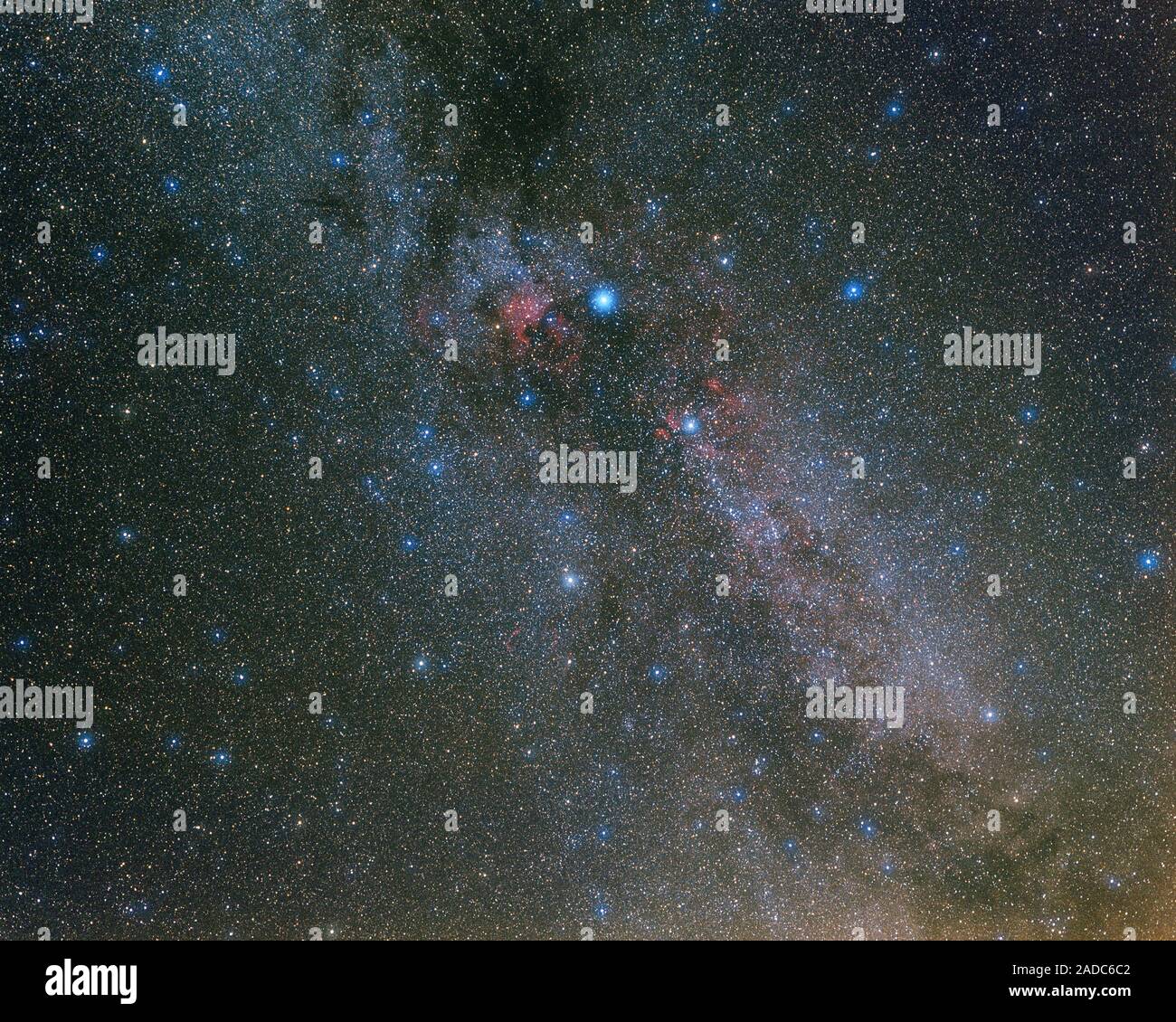 Cygnus et Milky Way. Image optique de la constellation du cygne (Swan ...