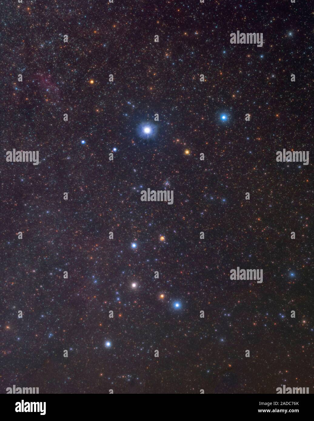 Grand chien constellation. Image optique de la constellation Canis ...