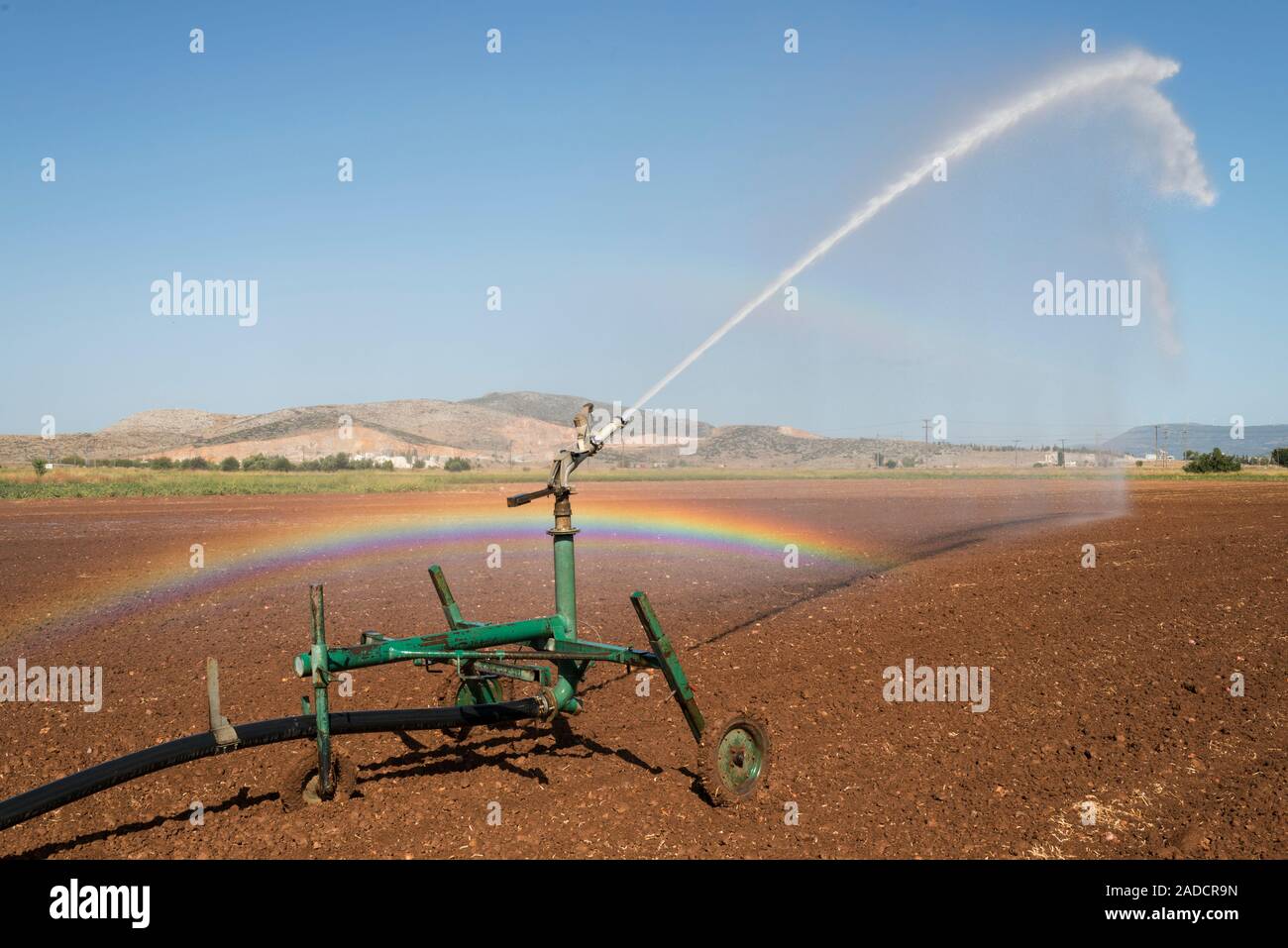 L'irrigation par aspersion d'un oignon rouge champ dans Thèbes, la ...