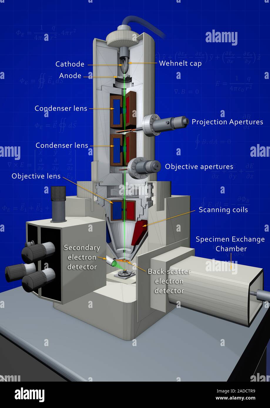 Microscope électronique à balayage (MEB), illustration en coupe. Un SEM ...