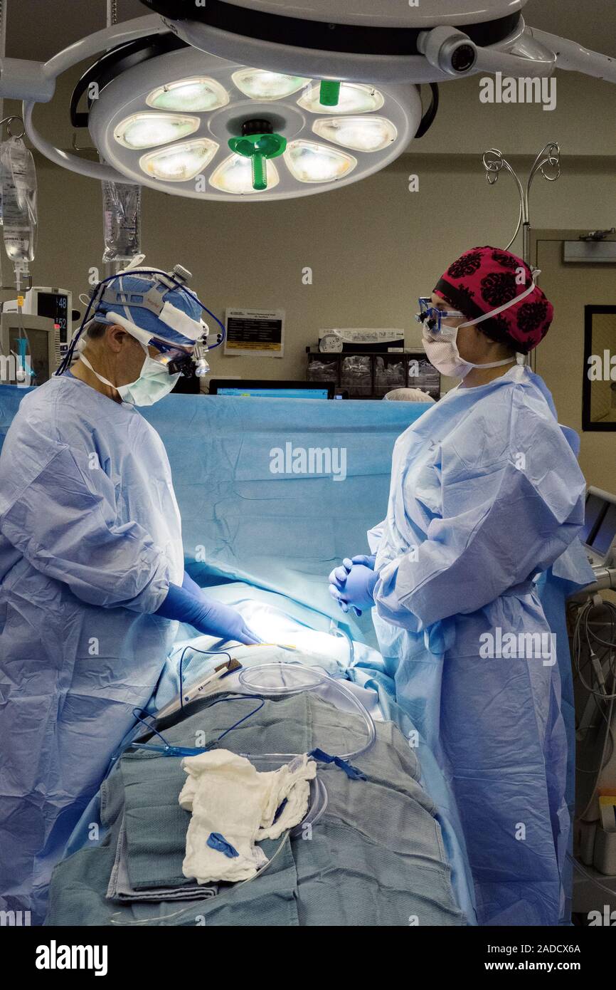 Opération à coeur ouvert. Chirurgien cardiaque et son assistant ...