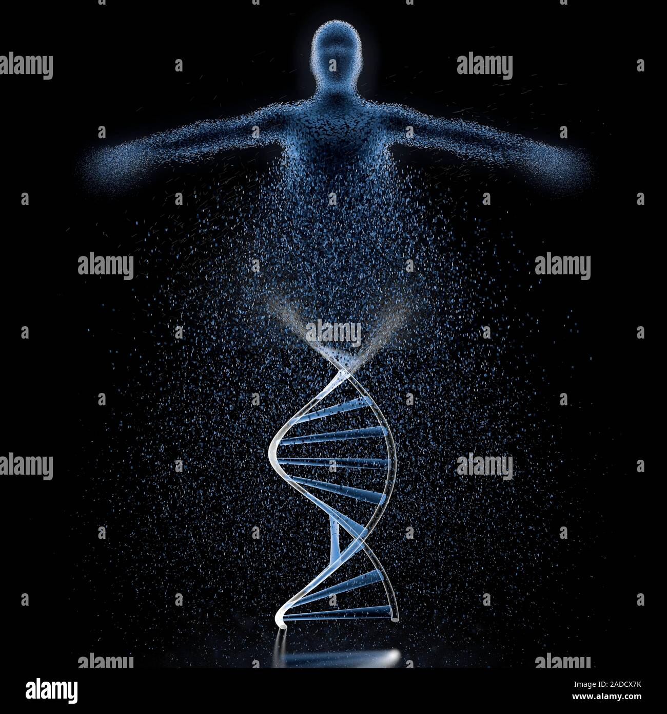 Le génie génétique, l'illustration conceptuelle. Le génie génétique, ou ...