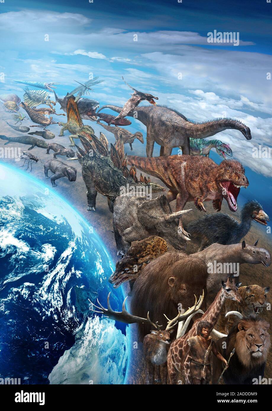 L'évolution de la vie sur Terre. Illustration montrant des exemples de ...