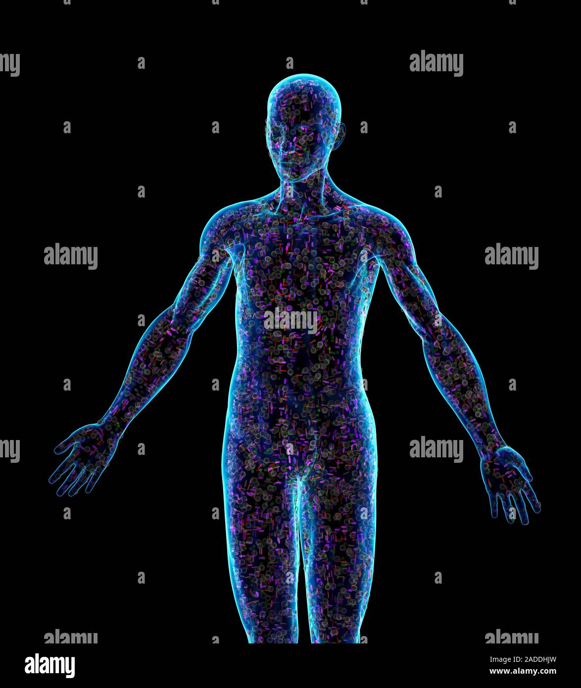 Les cellules dans un corps humain, conceptual image. Le corps humain ...