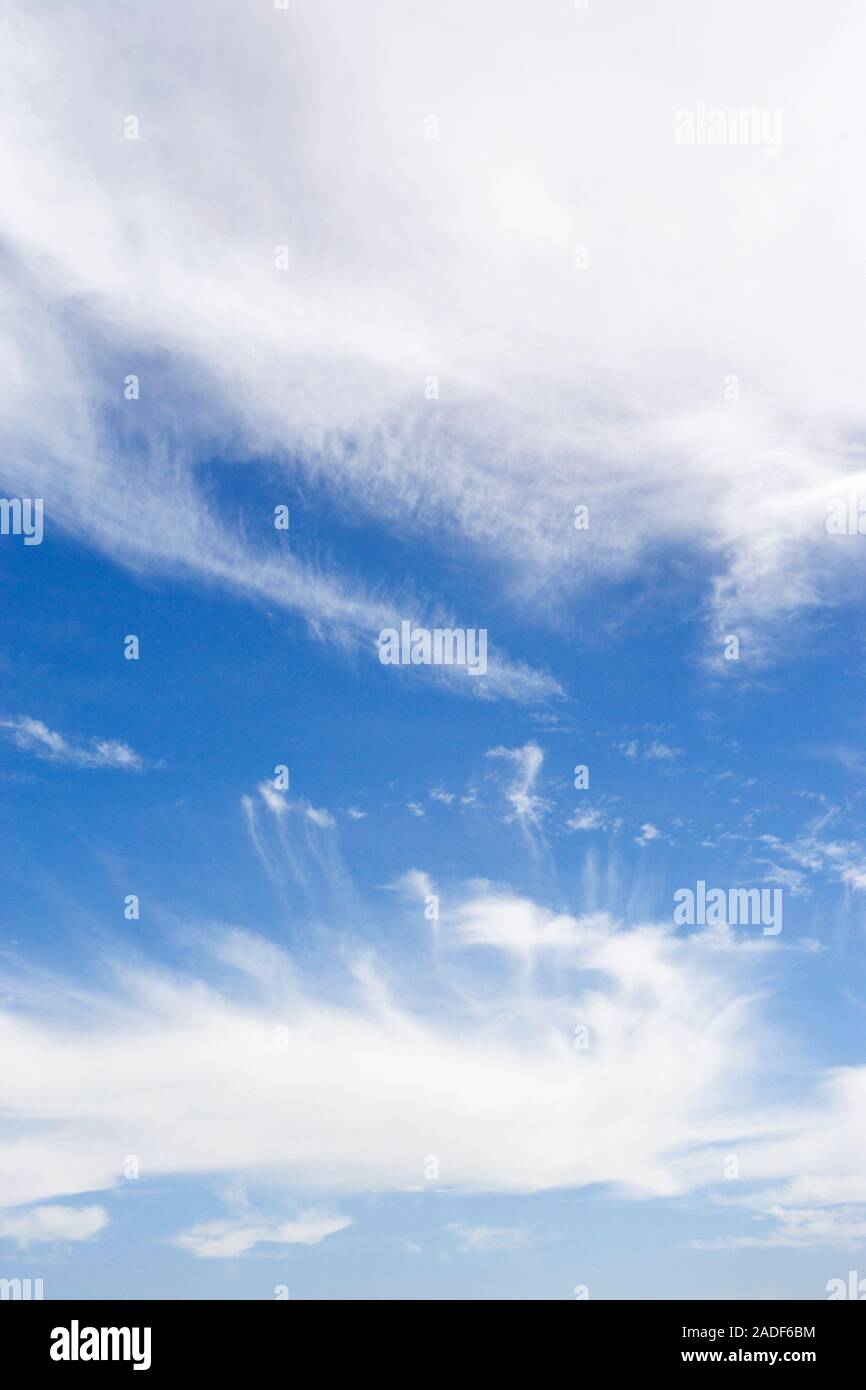 Les cumulus. Ces nuages se forment à basse altitude, normalement en dessous de 2000 mètres. Ils ...