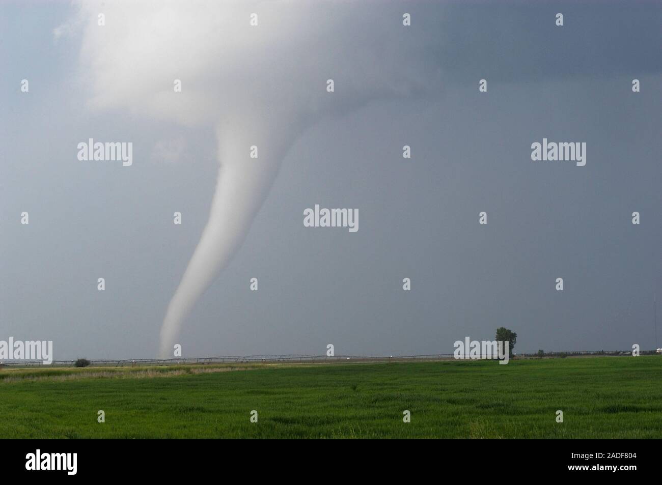 La filature à travers les terres agricoles. tornade Une violente ...