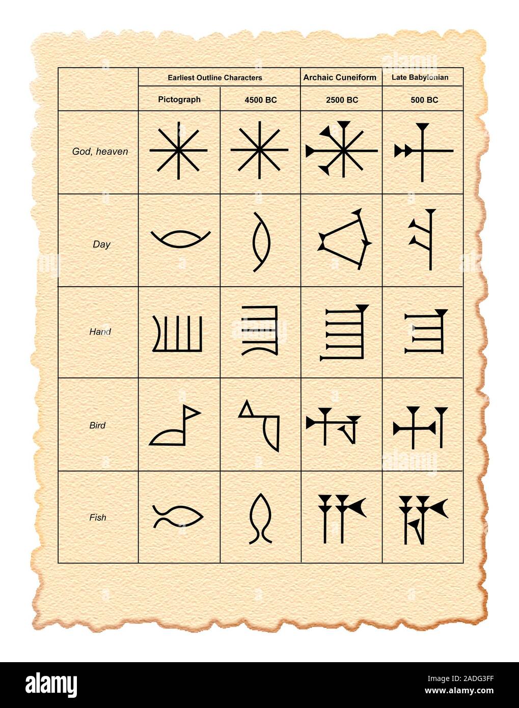 L'écriture cunéiforme. Schéma montrant le développement de pictogrammes ...
