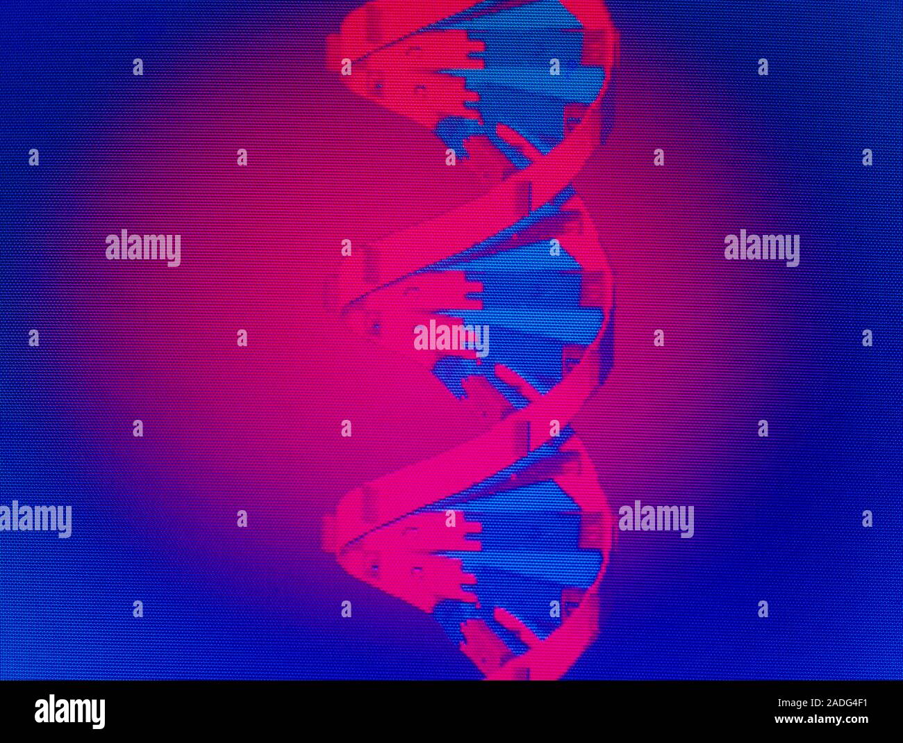 La double hélice. Ordinateur illustration graphique de la structure de ...