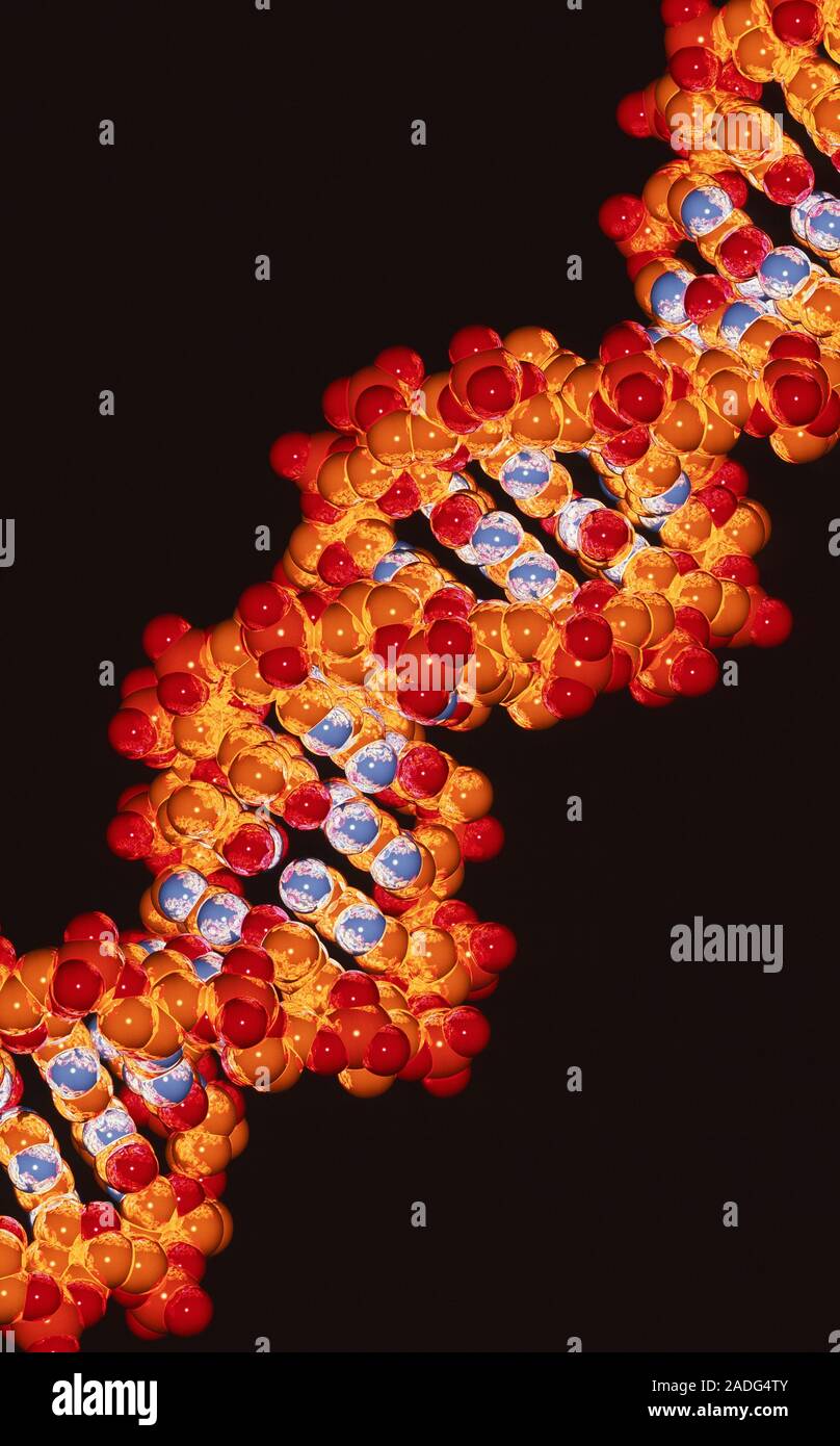 Molécule d'ADN. L'oeuvre de l'ordinateur de la structure moléculaire d ...