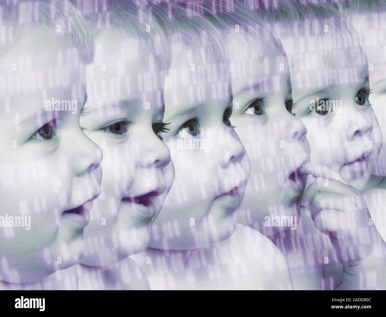 Le clonage humain. Image conceptuelle d'une rangée de têtes de bébés ...