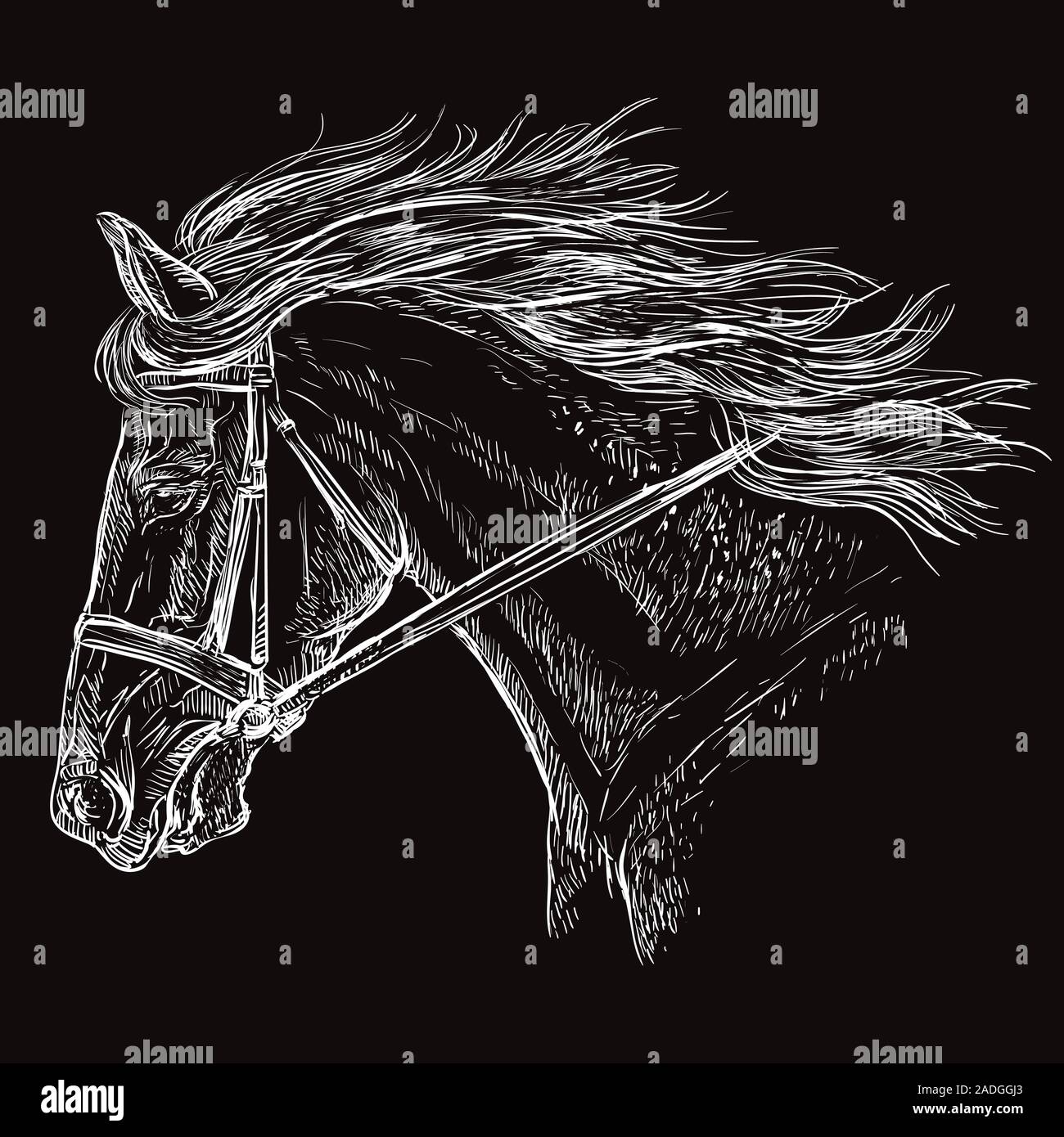 Cheval dessin couleur Banque de photographies et d’images à haute ...