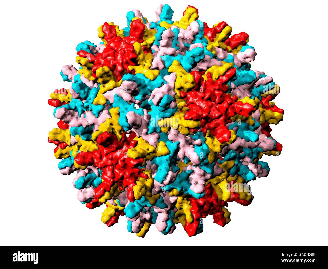 Des particules du virus de l'hépatite B. L'oeuvre de l'ordinateur de la ...
