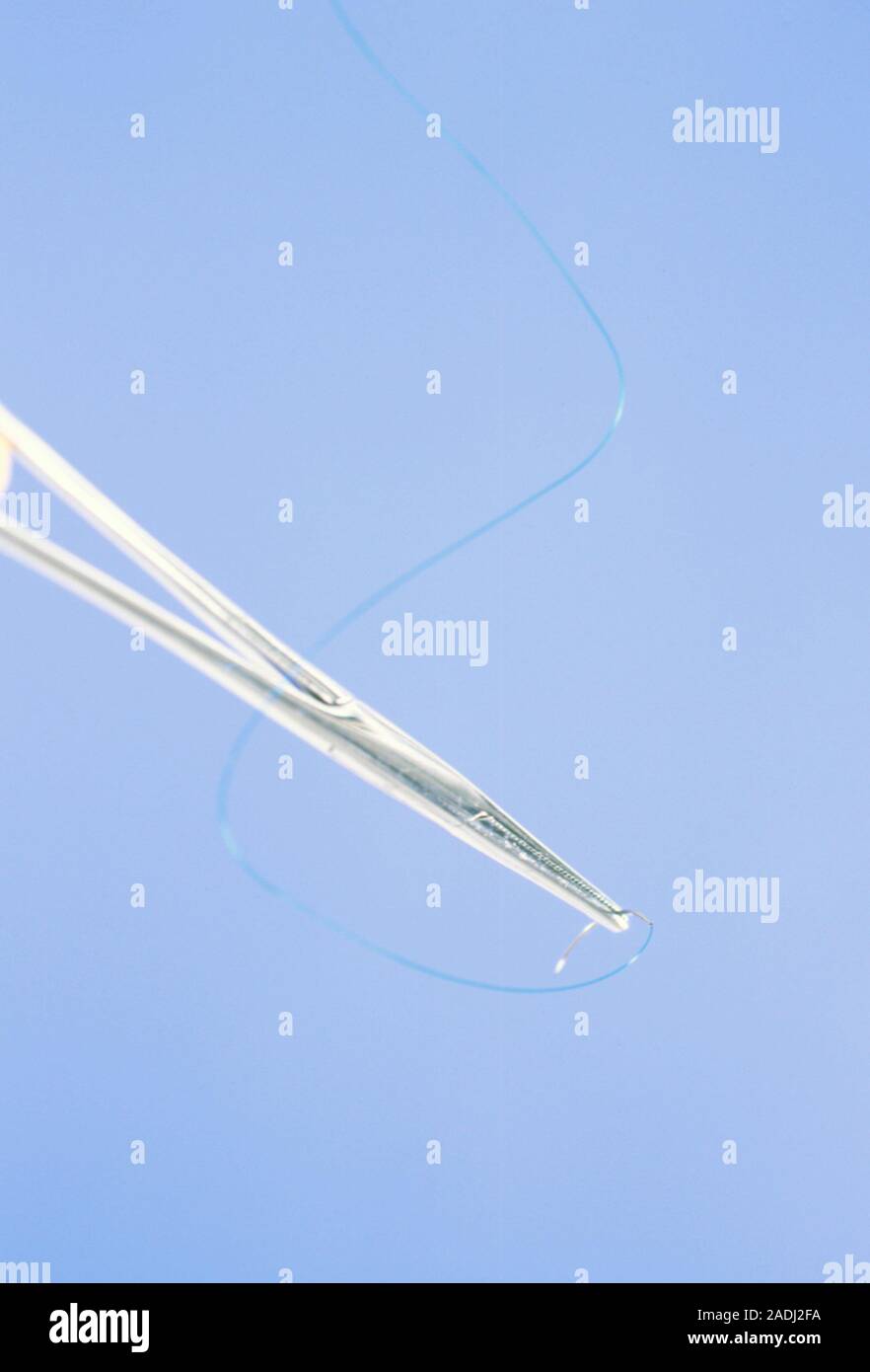 Pinces à suture. Close-up d'une suture tenue à une paire de pinces ...