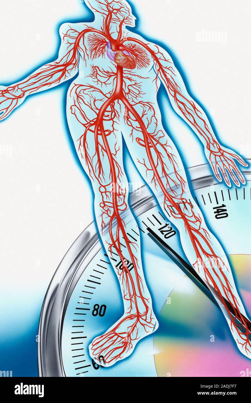 La mesure de la pression artérielle. Artwork des artères dans le corps ...