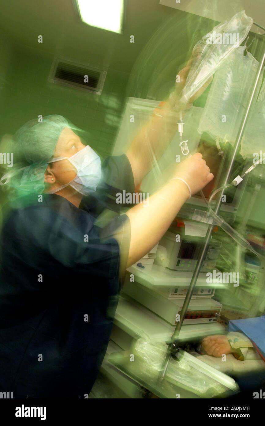 Theatre nurse modification d'une intraveineuse (IV) sac-à-goutte durant ...