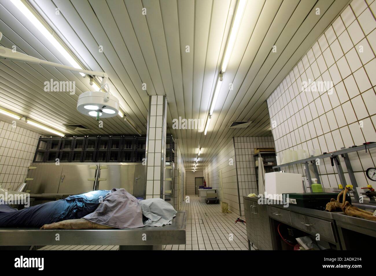 Morgue. Corps en attente d'une autopsie dans une morgue. Une autopsie ...
