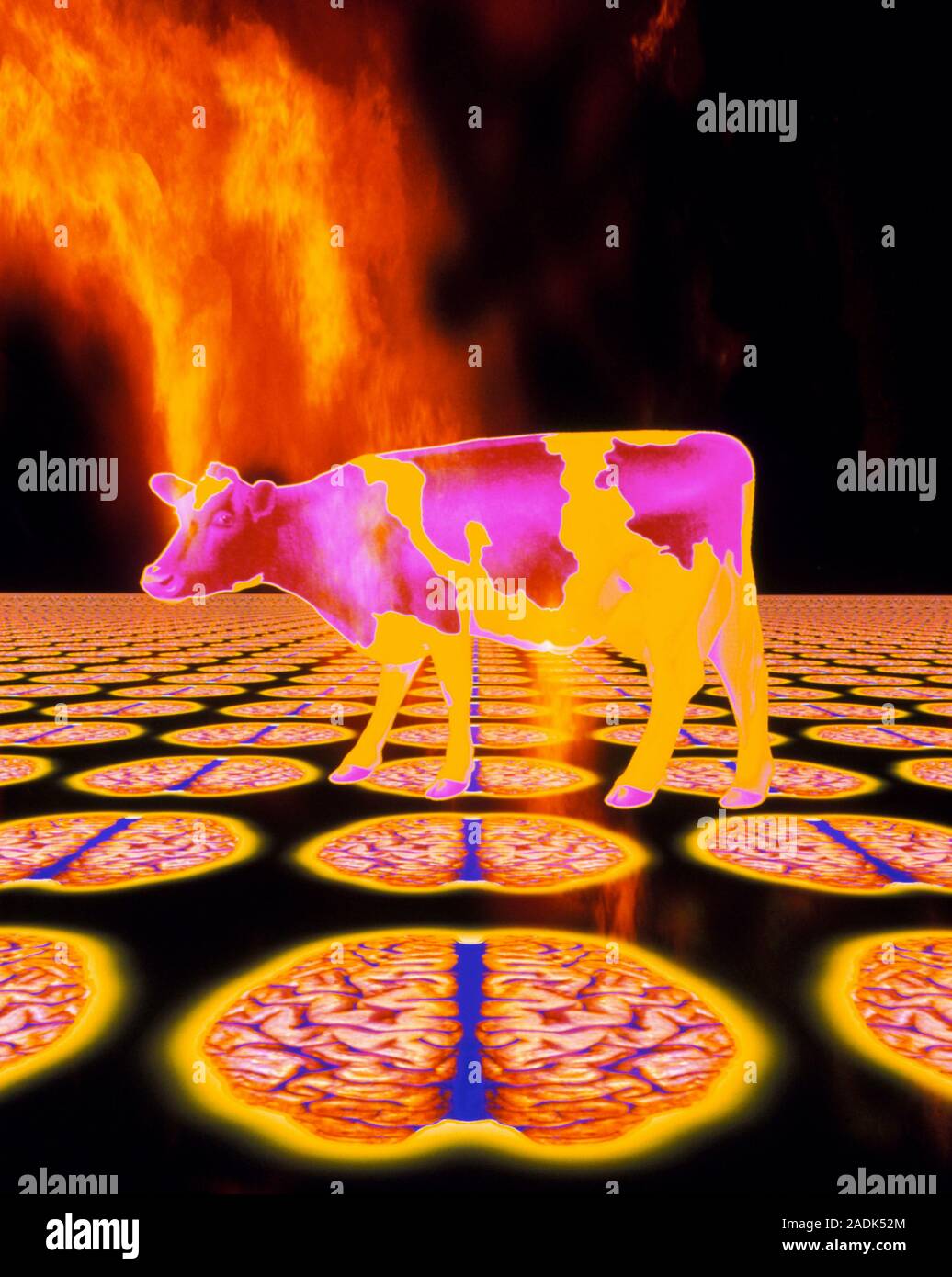 La maladie de la vache folle. Ordinateur abstrait art de flammes ...