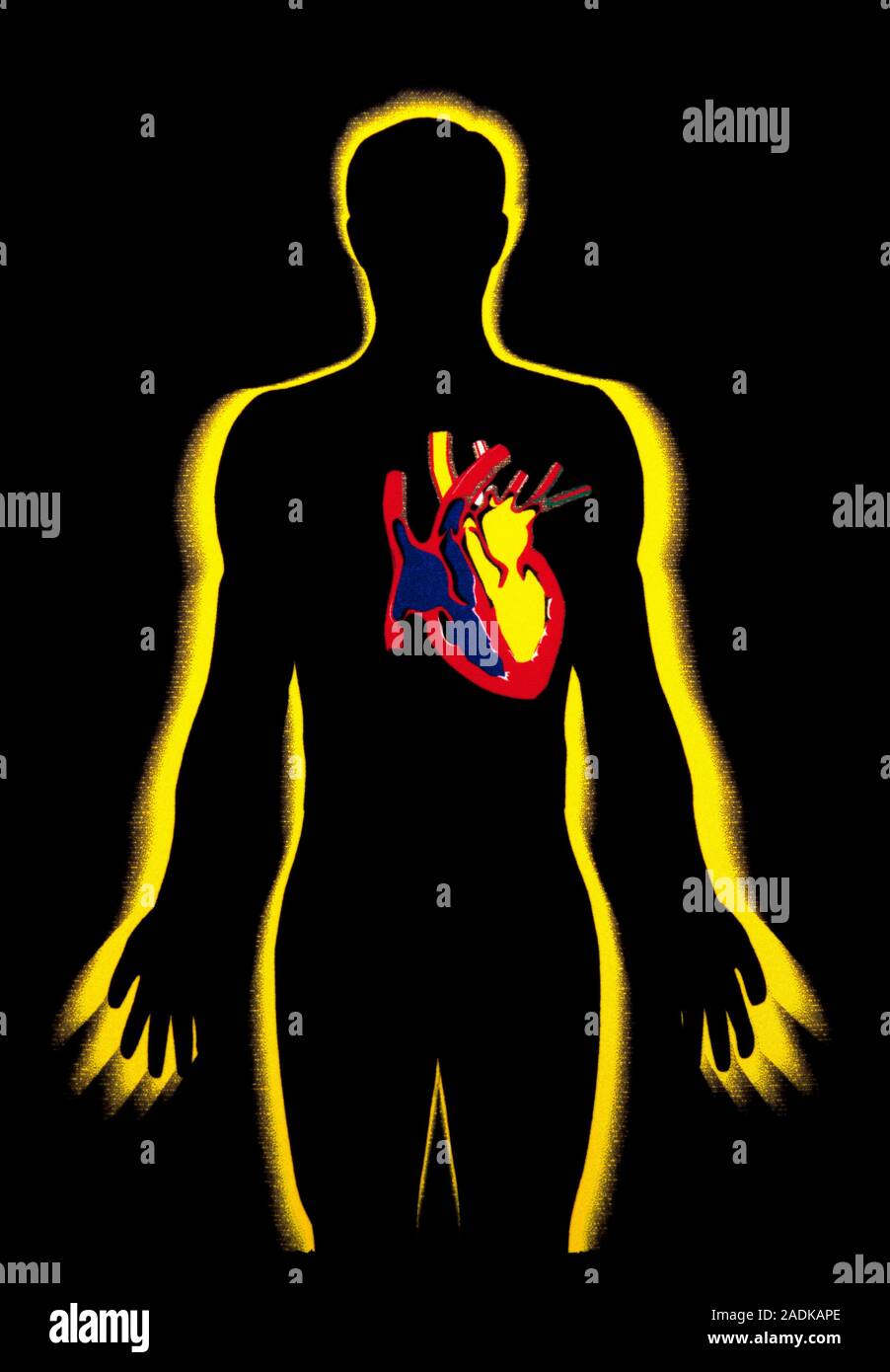 Cœur de l'homme. Artwork d'une silhouette d'un homme avec un cœur en ...