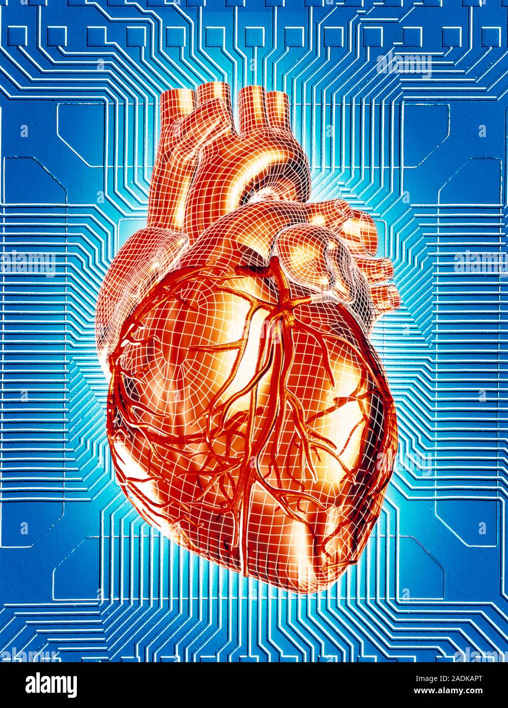 Coeur. Ordinateur conceptuel de l'oeuvre d'un cœur humain sur un ...