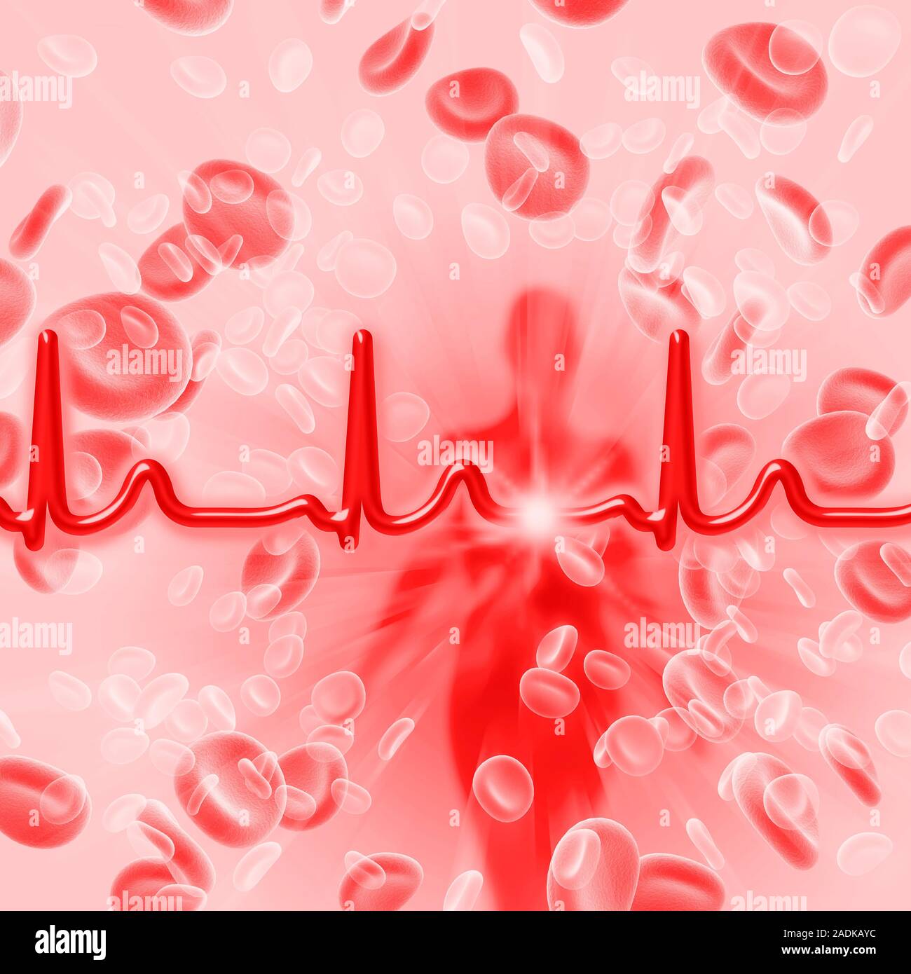 Les cellules rouges du sang et de l'ECG. L'oeuvre de l'ordinateur des ...