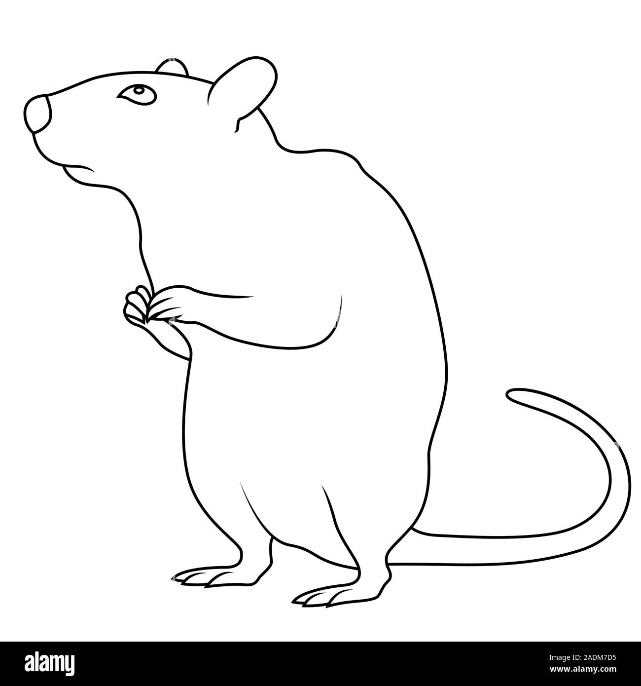 Symbole du rat Banque d'images vectorielles - Alamy