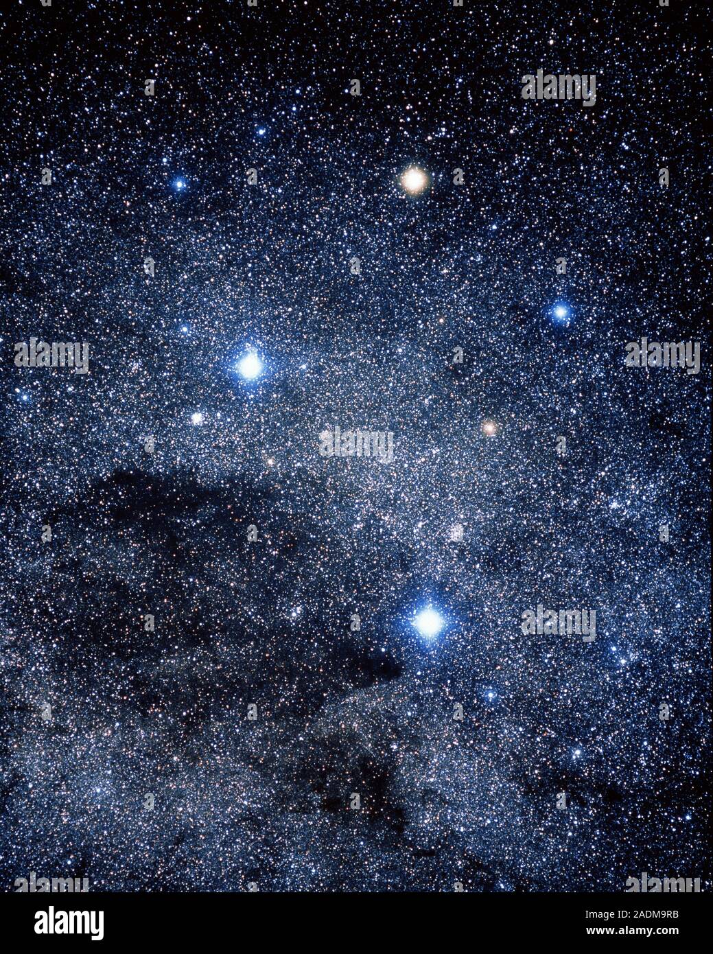 La Croix du Sud (Crux) constellation. Les quatre étoiles les plus ...