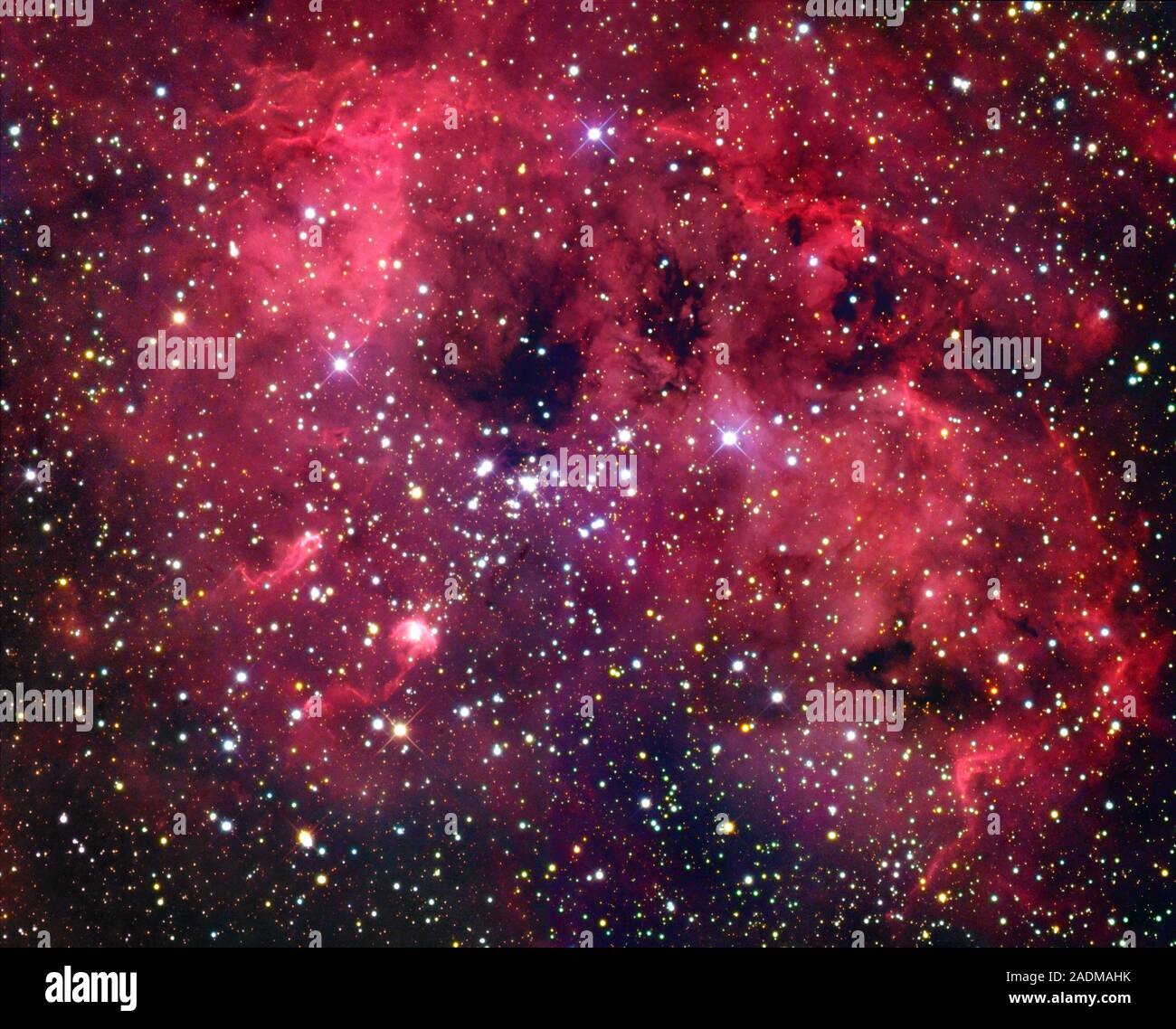 Nébuleuse têtard (IC 410), l'image optique. La nébuleuse des têtards ...