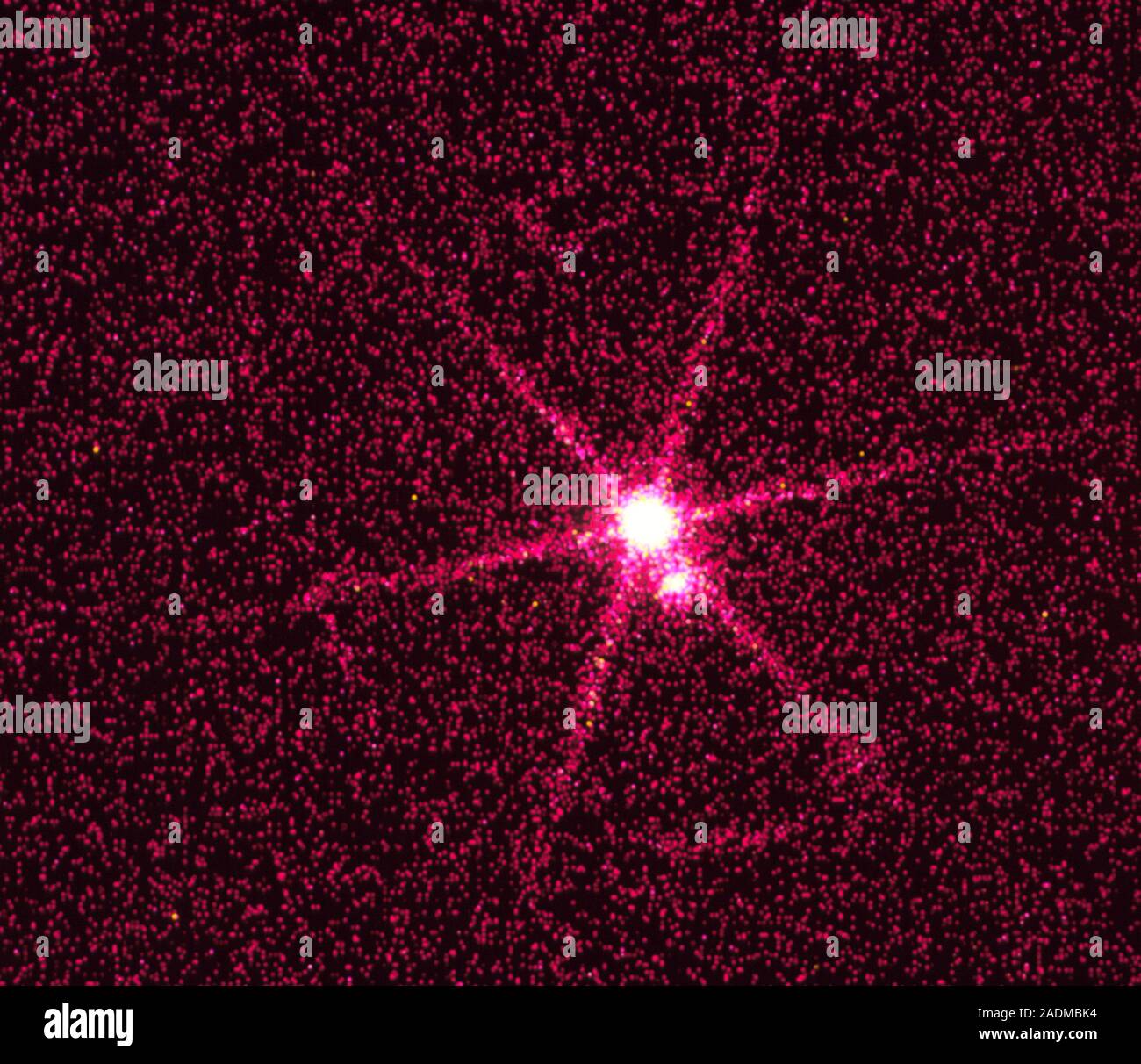 Double Star Sirius. Télescope à rayons X Chandra image de l'étoile ...