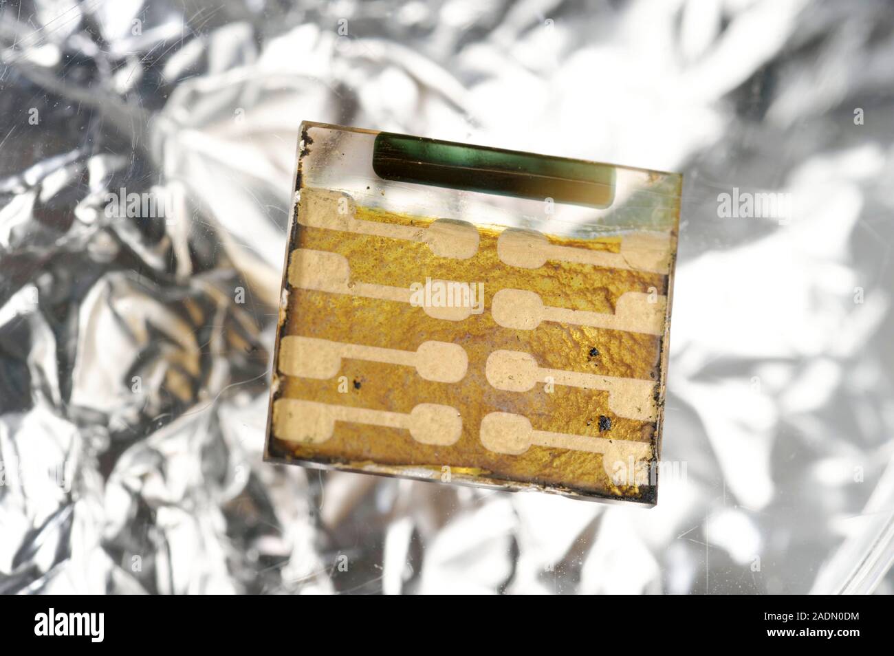 Cellule solaire nanofils. Cette cellule solaire est enduit avec des ...