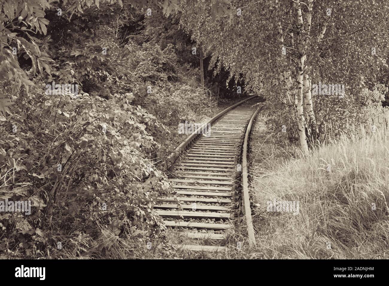 Pistes sur l'herbe Banque de photographies et d’images à haute ...