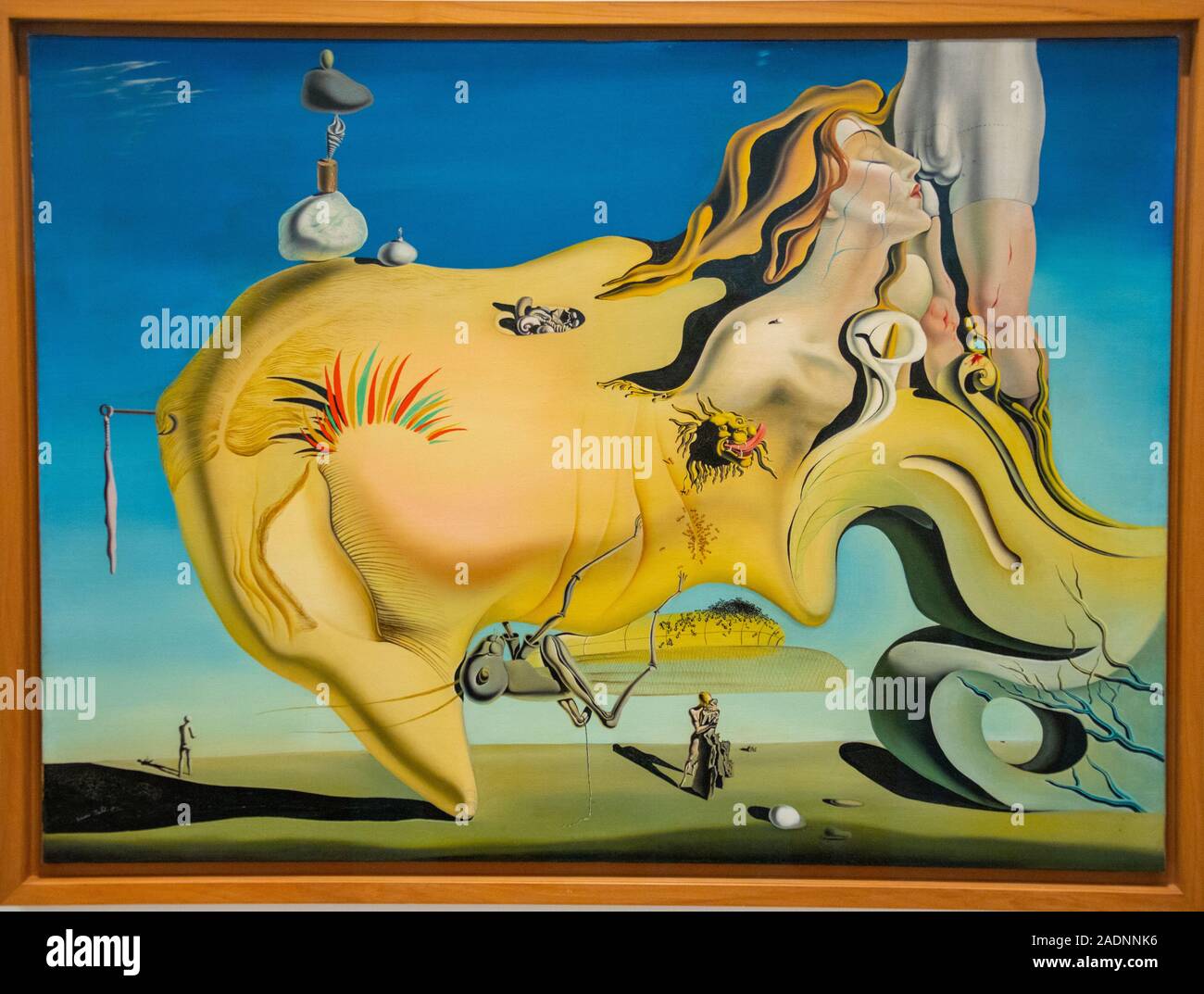 Salvador dali Banque de photographies et d’images à haute résolution ...