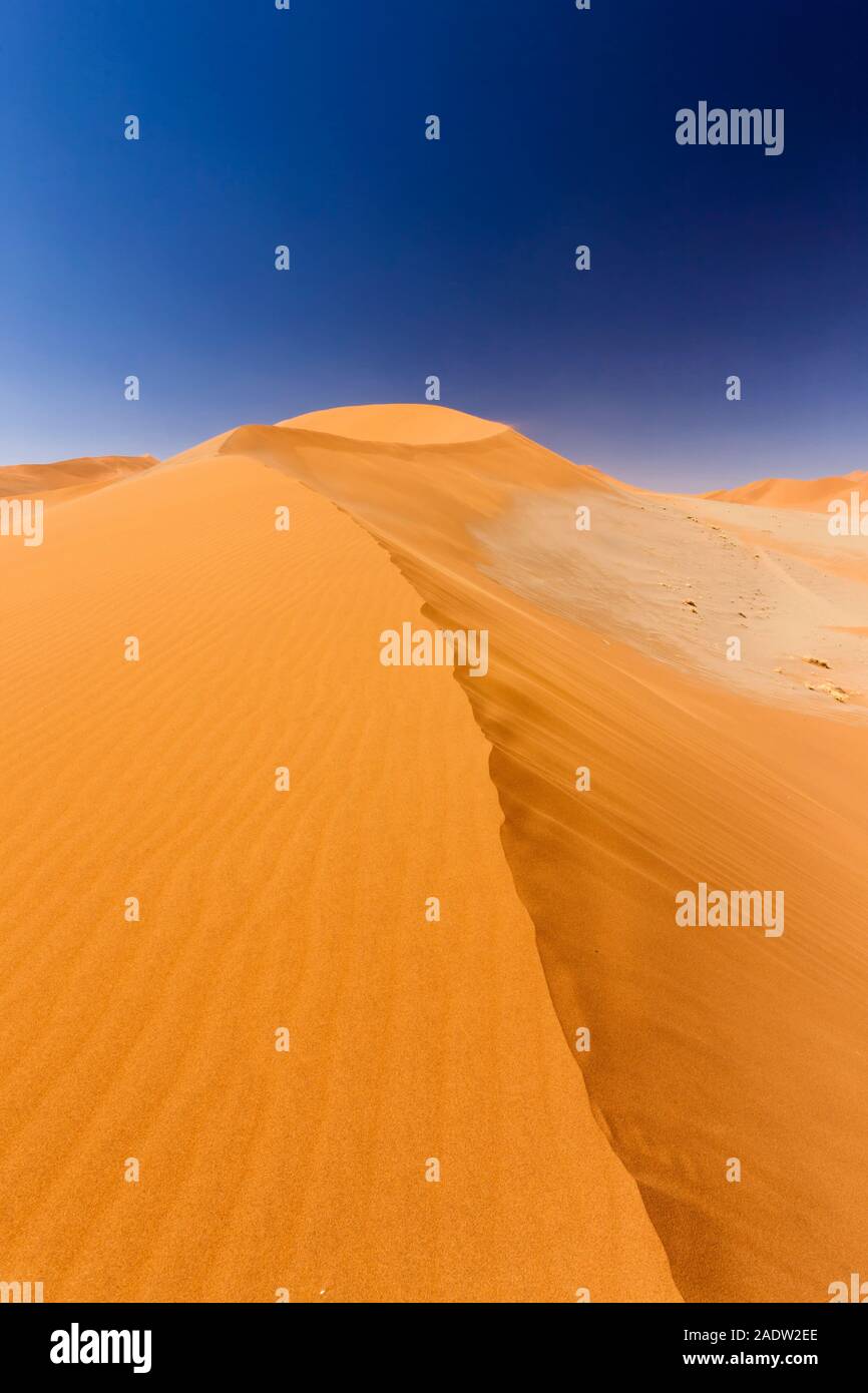 Sable du namib Banque de photographies et d’images à haute résolution ...