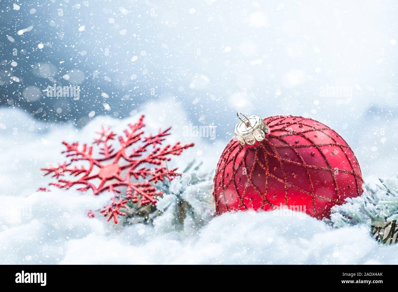 Neige sur des branches de sapin Banque de photographies et d’images à ...