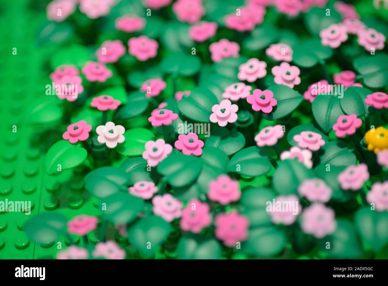 Lego flower Banque de photographies et d’images à haute résolution - Alamy