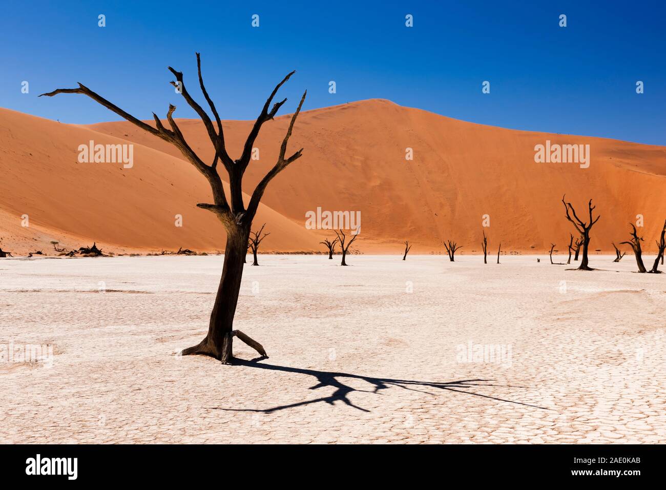 Lac mort, lit séché, arbres morts, Deadvlei, désert du Namib, Parc ...