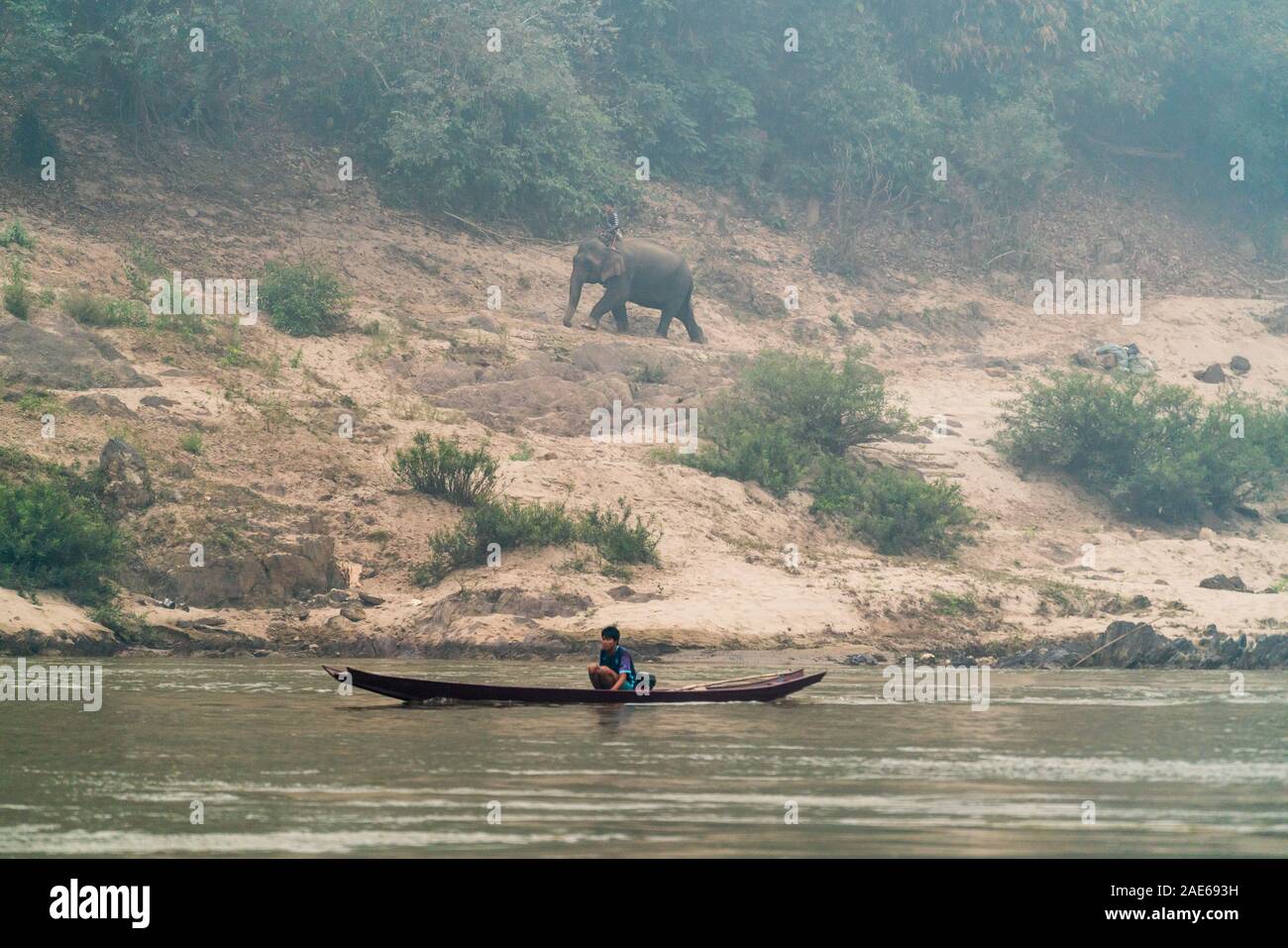 Elephant laos mekong river Banque de photographies et d’images à haute ...