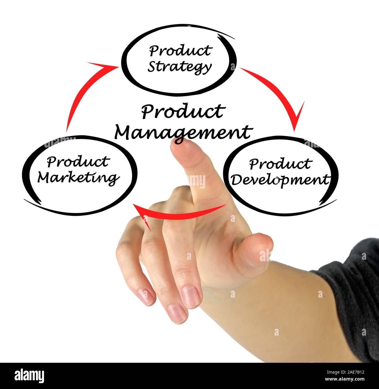 Diagramme de gestion de produit Banque de photographies et d’images à ...