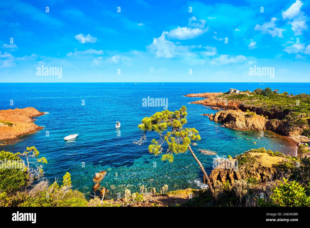 Arbre méditerranéen de l'Esterel, roches rouges côte, plage et mer ...