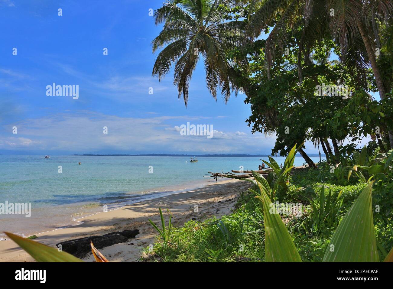 Panama belle nature Banque de photographies et d’images à haute ...