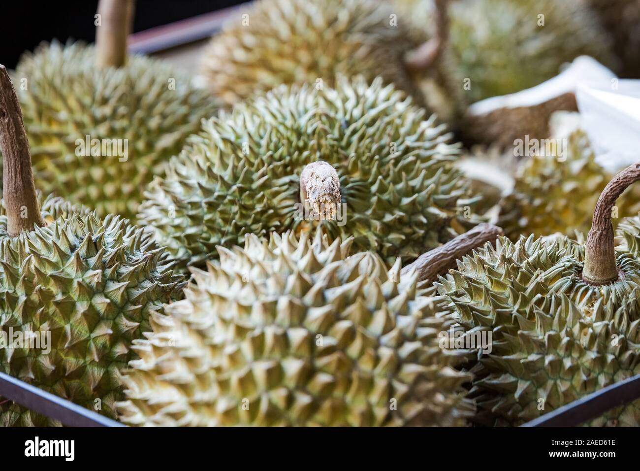 Le durian est considéré comme l'un des plus exotiques et les plus ...