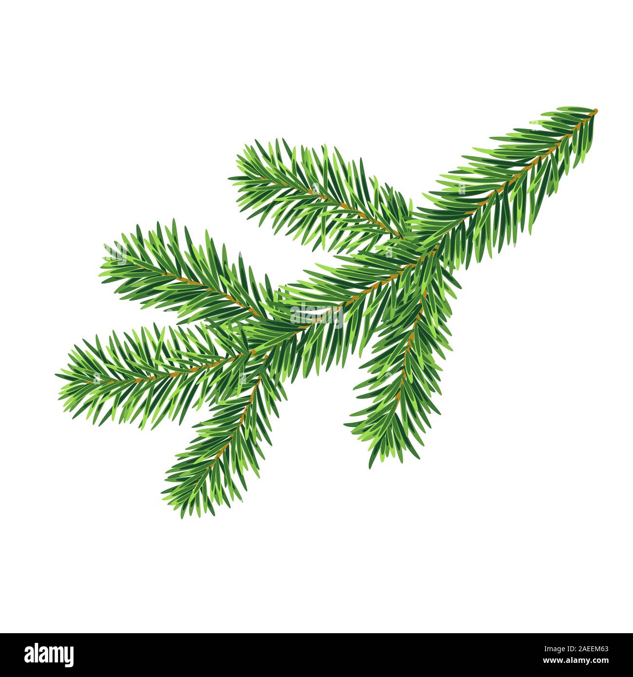 Fir cartoon Banque d'images vectorielles - Alamy