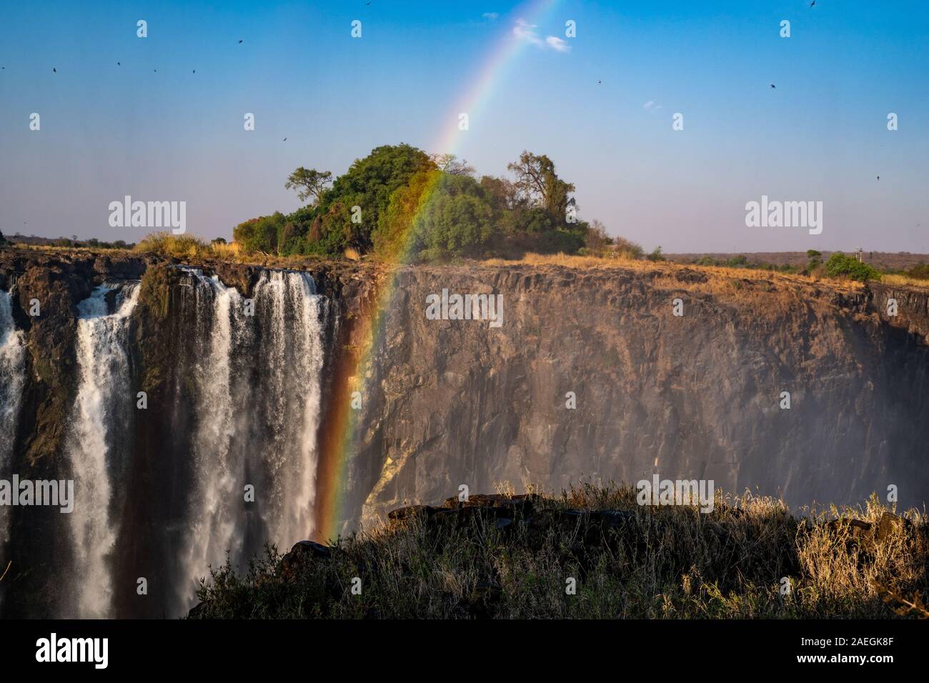 Victoria Falls, nommé par David Livingstone en 1855 après que la reine ...