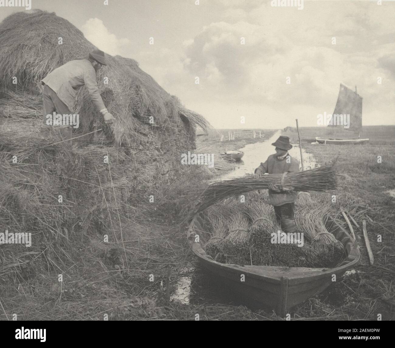 Peter Henry Emerson Et Tf Goodall Banque d'image et photos - Alamy