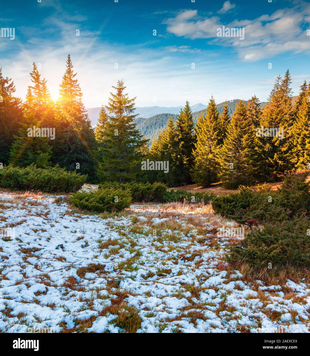 Première neige dans la forêt des Carpates. Gorgany Ridge, l'Ukraine, l ...