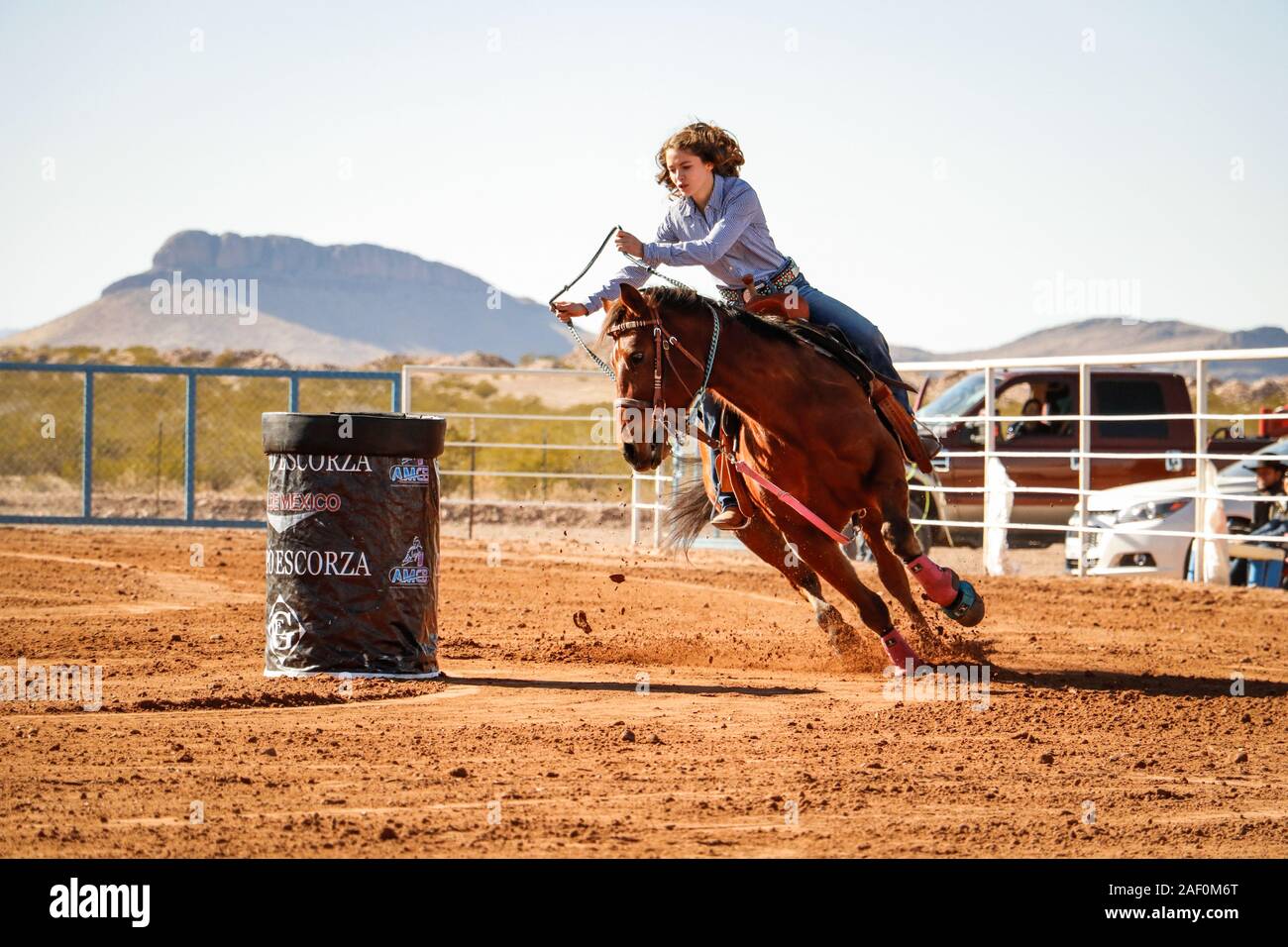 Courses de barils pour femmes Banque de photographies et d’images à ...