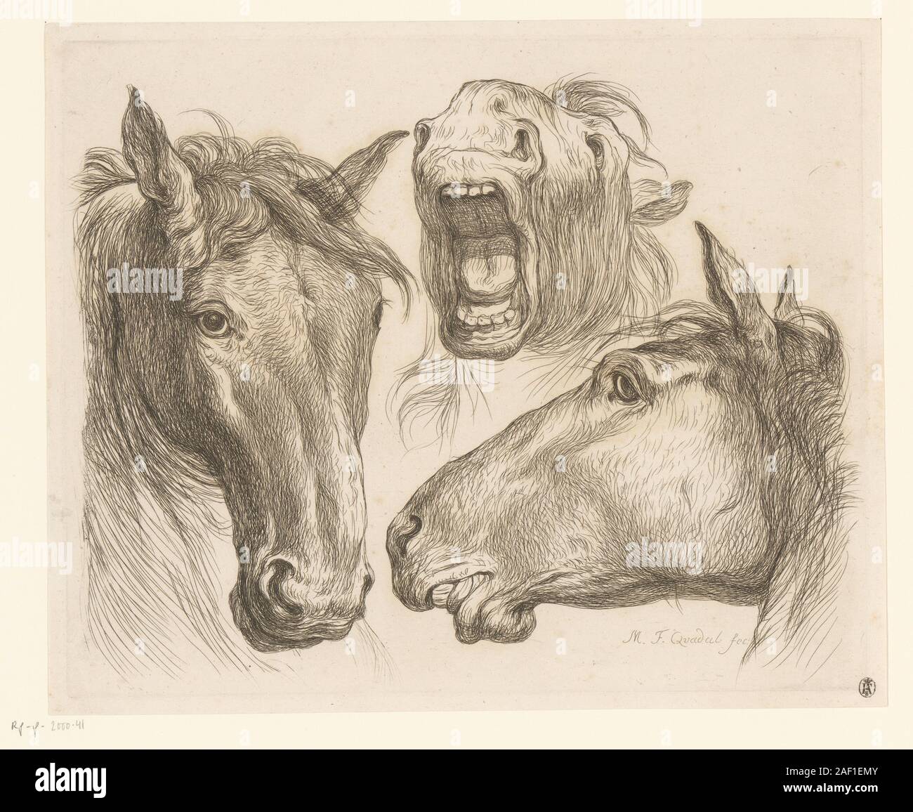 Ferdinand martin quadal Banque de photographies et d’images à haute ...