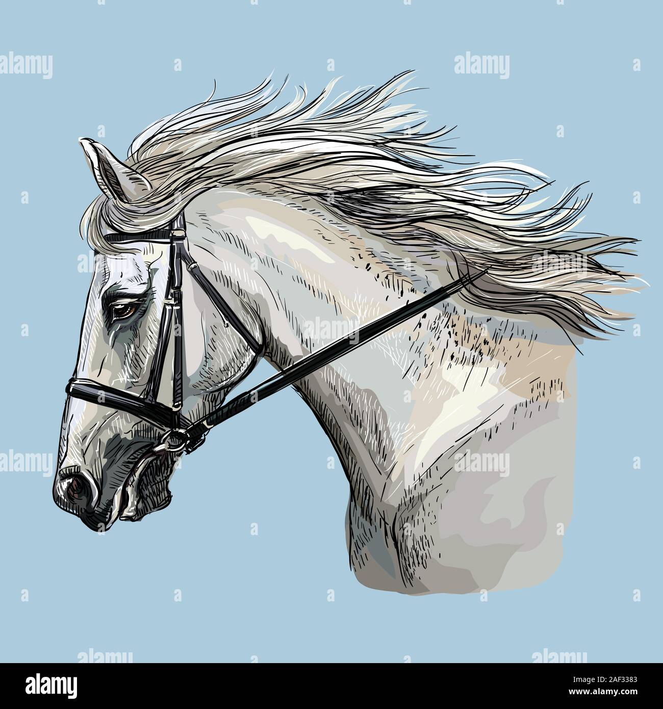 Portrait cheval blanc coloré avec bride. Tête de cheval avec une longue ...