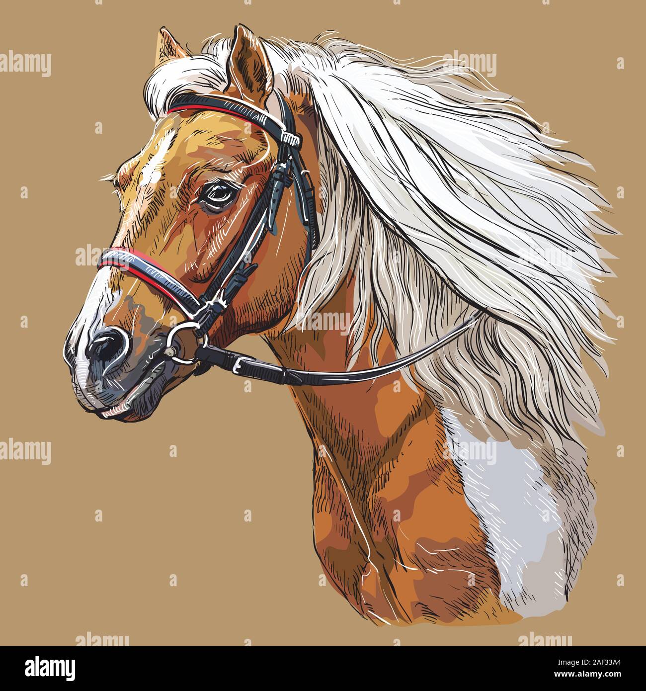 Portrait cheval coloré avec bride. Tête de cheval avec une longue ...