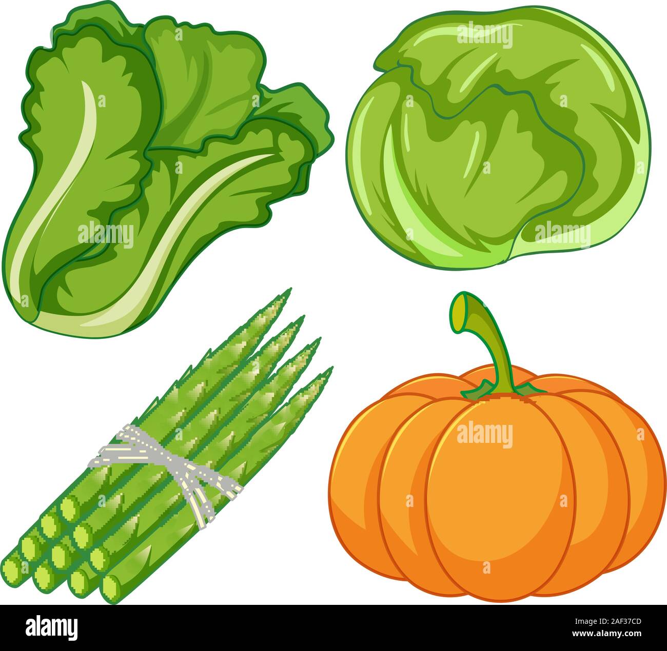 Types de legumes Banque d'images vectorielles - Alamy
